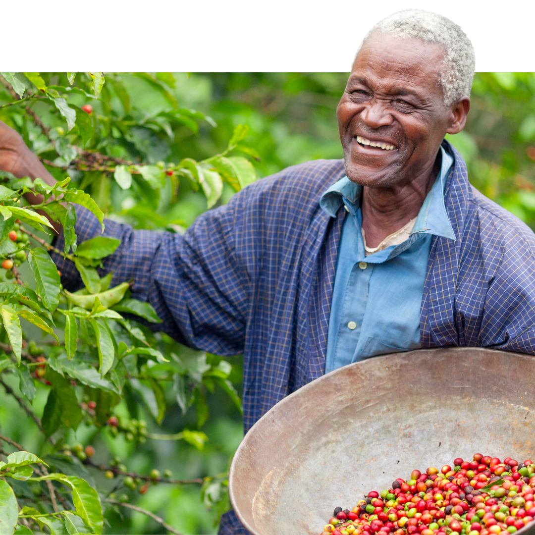 Cafeteras – La Raza Coffee